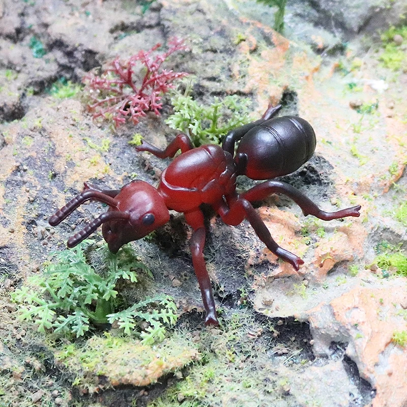 Toy Insect Plastic Small Pvc Insect Toy Plastic Insect Kids Toys - Buy ...