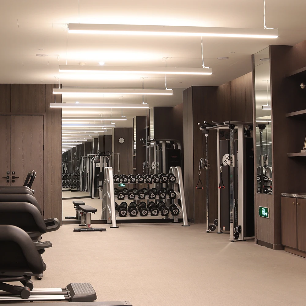 Vertak LED Batten Purification Light - 50000 Hours Lifespan