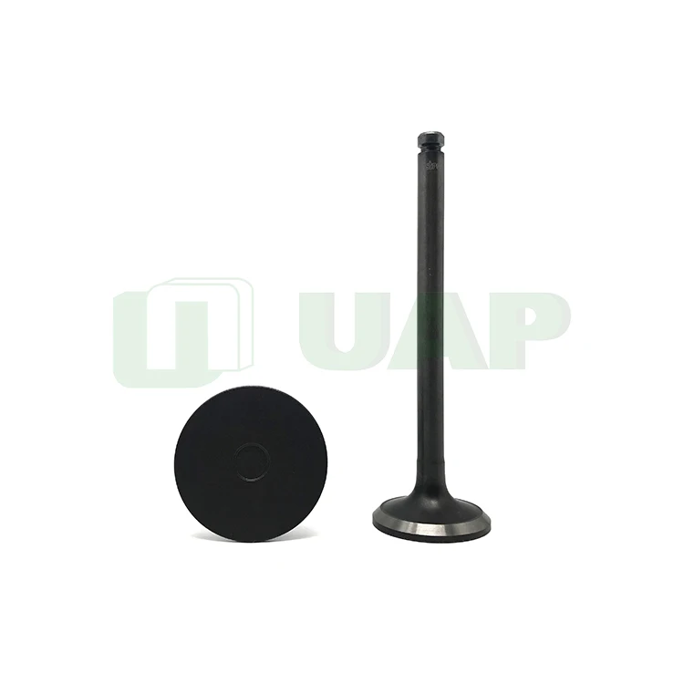 Fe6t 12v Diesel Engine Intake Valve 13201-z5501 And Exhaust Valve 13202 ...