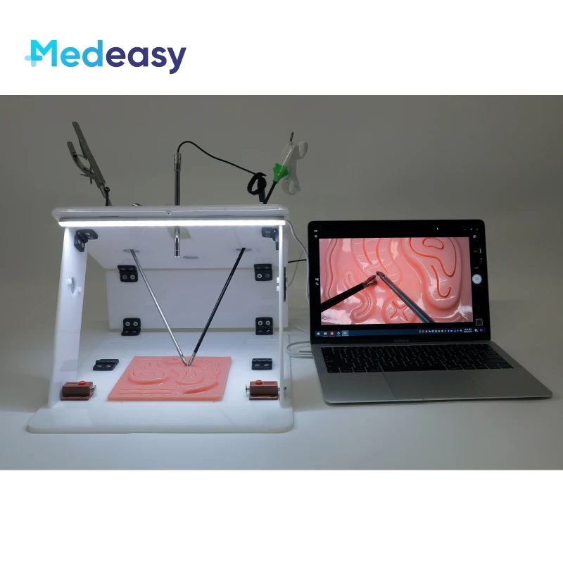 Laparoscopic Trainer Box with HD Camera & Easy Carry, OEM | Wholesale