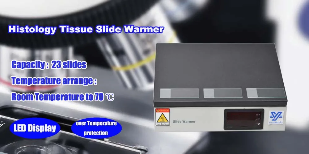 Patholgy Histology Tissue Slide Dryer / Slide Warmer - Buy Slide Warmer ...