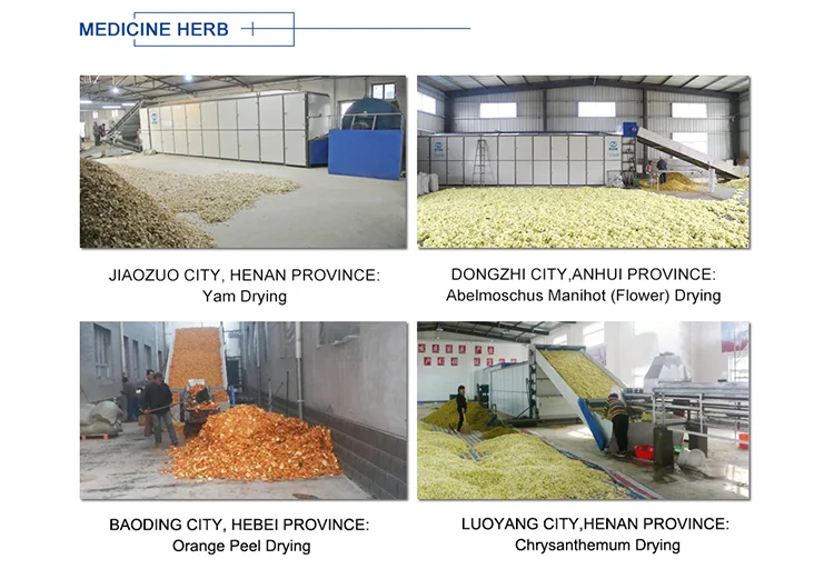 Alfalfa Hay Drying Machine - Efficient & Reliable Solutions