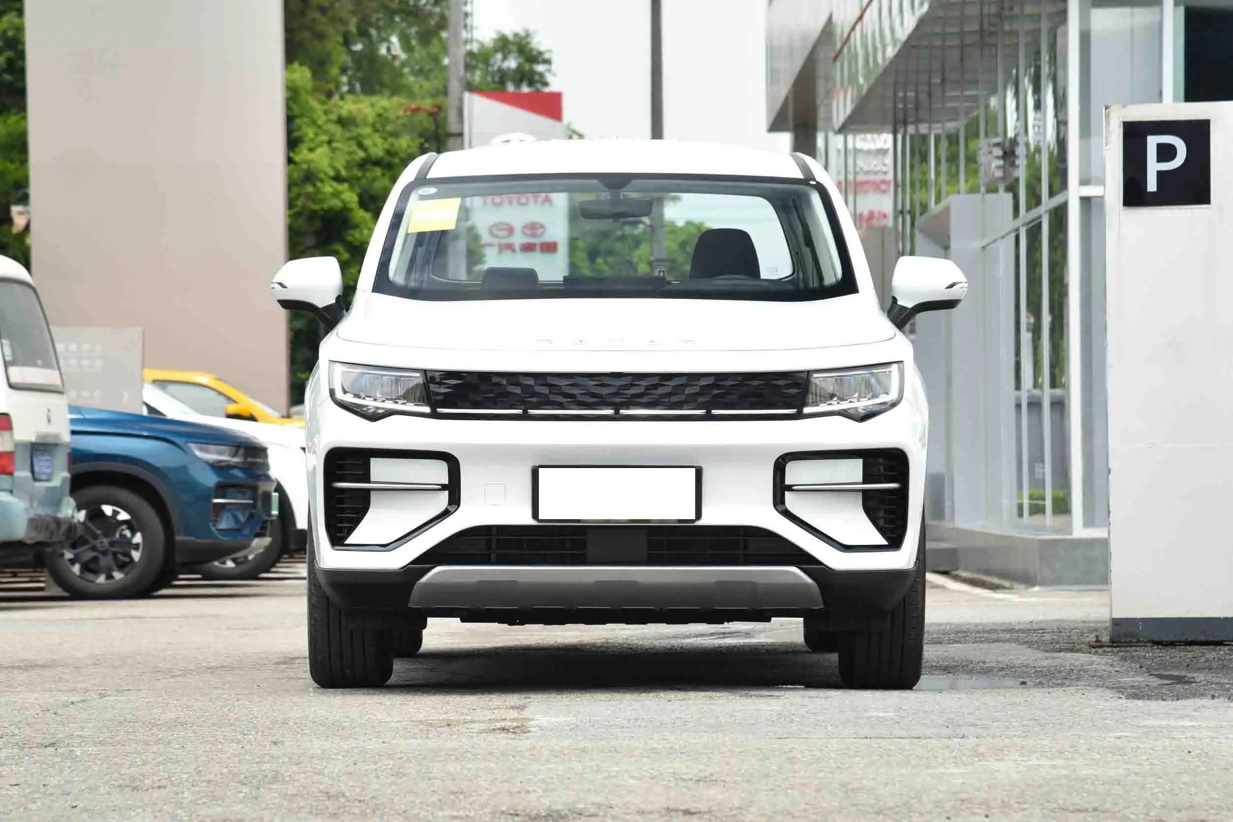 Geely Ev Car Radar Rd6 Pickup Long Range Pure Electric Cars Living ...