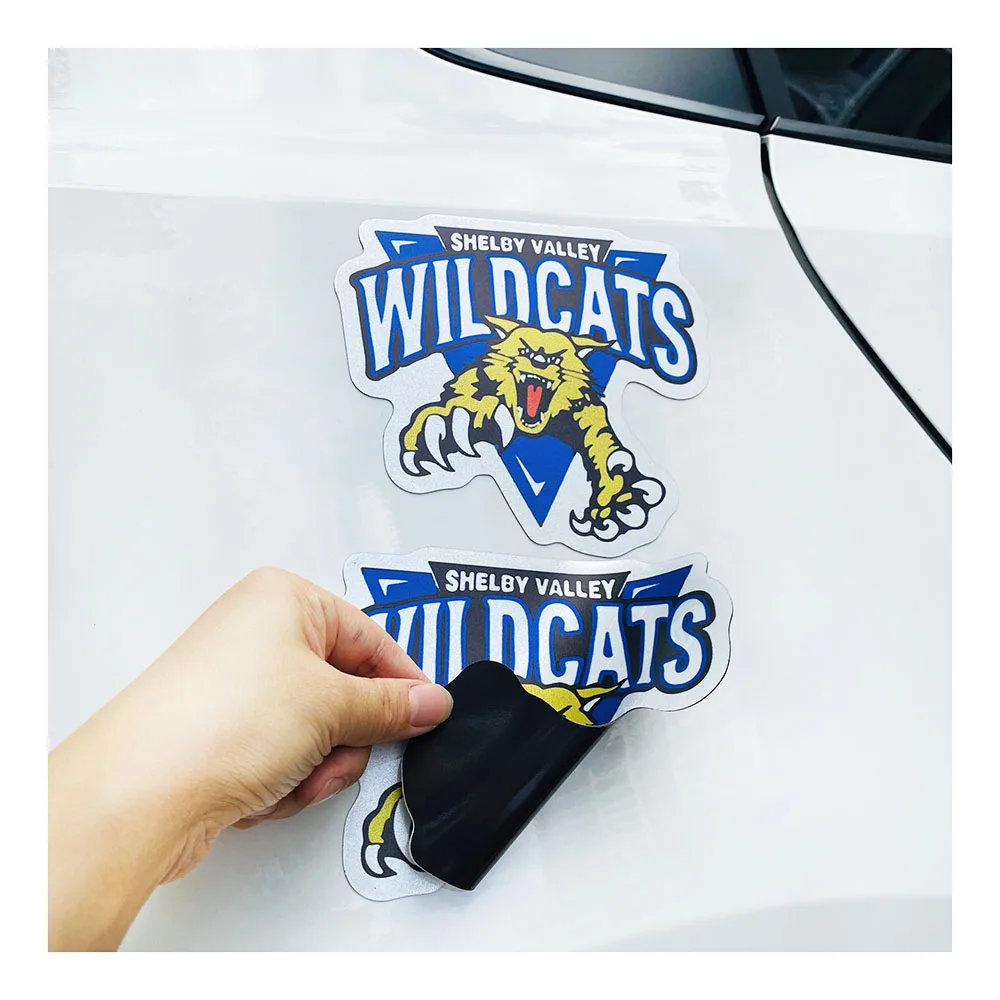 UV Resist Weatherproof Printing Custom Logo Reusable Car Magnets