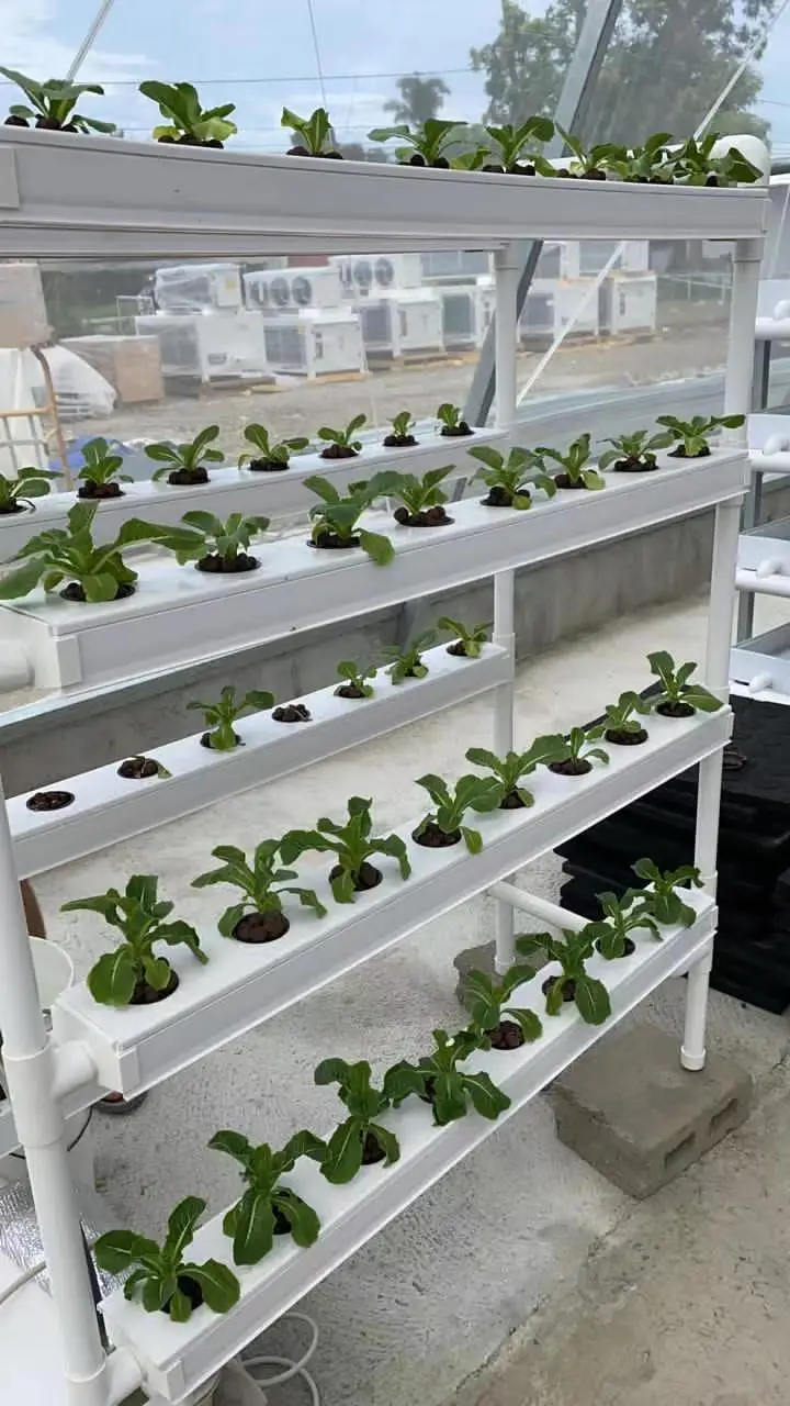 Vertical Garden Hydroponics Nft System Hydroponic Lettuce Grow Kit For ...