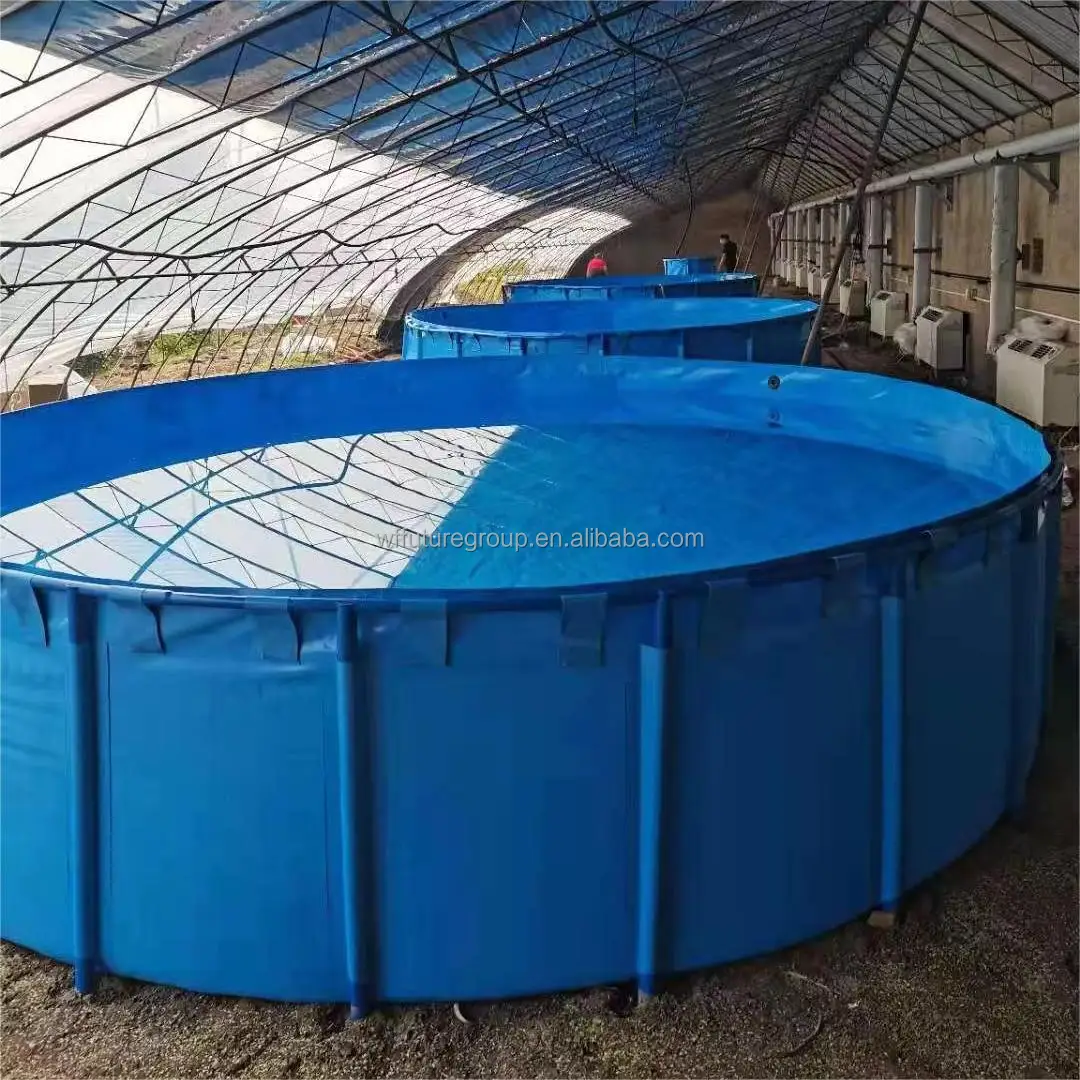 Portable Fish Pond Big Size Koi Pond Tanks Plastic Fish Tank Low ...