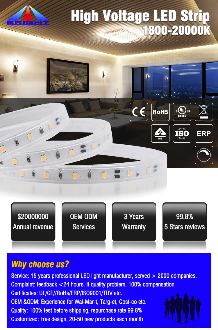 High Voltage LED Strip AC100V-240V SMD2835 120leds/m