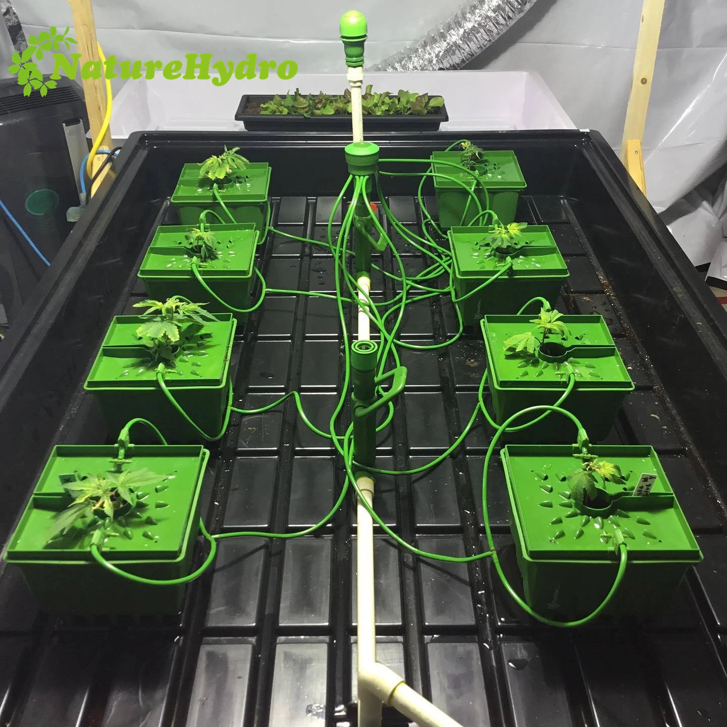 Hydroponics Grow Pot 6inch Drip Irrigation System - Buy Grow Pot 6inch ...