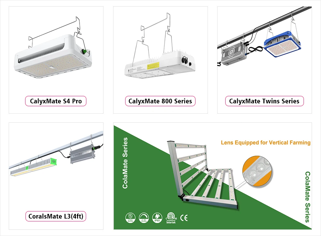 Shenzhen Huadian Lighting Co., Ltd. - LED STADIUM LIGHT, LED GROW LIGHT