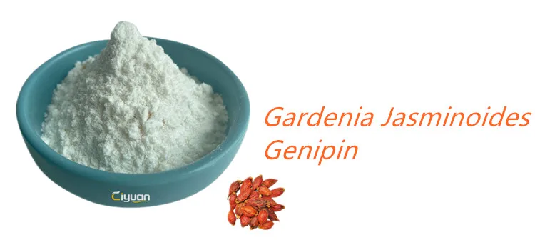Ciyuan โรงงานผู้ผลิต100% ธรรมชาติ Gardenia Jasminoides สารสกัดจาก98% ...