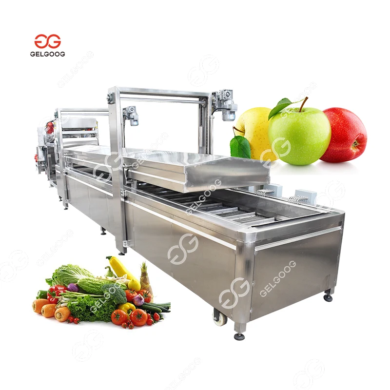 GELGOOG Automatic Noodle Vegetable Steam Blanching Machine Vegetable Steamer Or Apple Blancher ...
