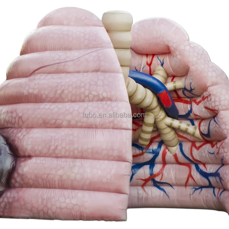 4.8m Giant Inflatable Brain Organ for Outdoor Exhibits