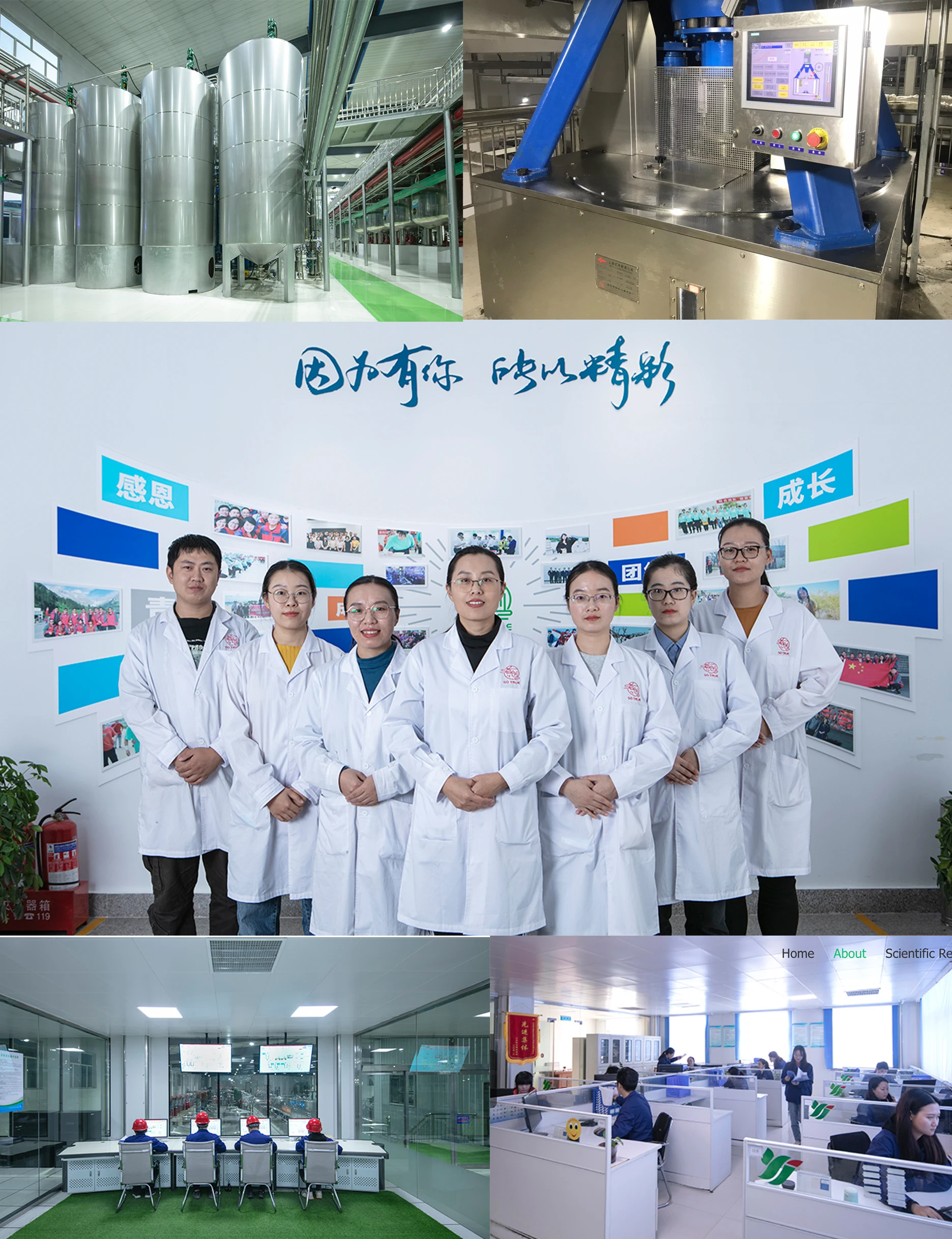 Corn Sourced High Solubility Food Grade Low Calorie Low GI Sugar-Free ...