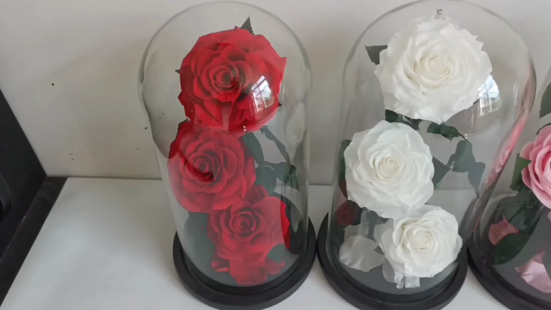 Beauty And The Beast Rose In Glass Dome With Led Real Preserved Eternal ...