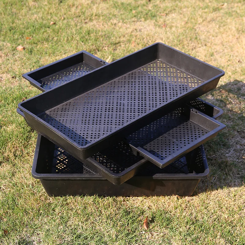 56cm*24cm 170g Pp Flat Seed Nursery Tray Seedling Propagation Rectangle ...