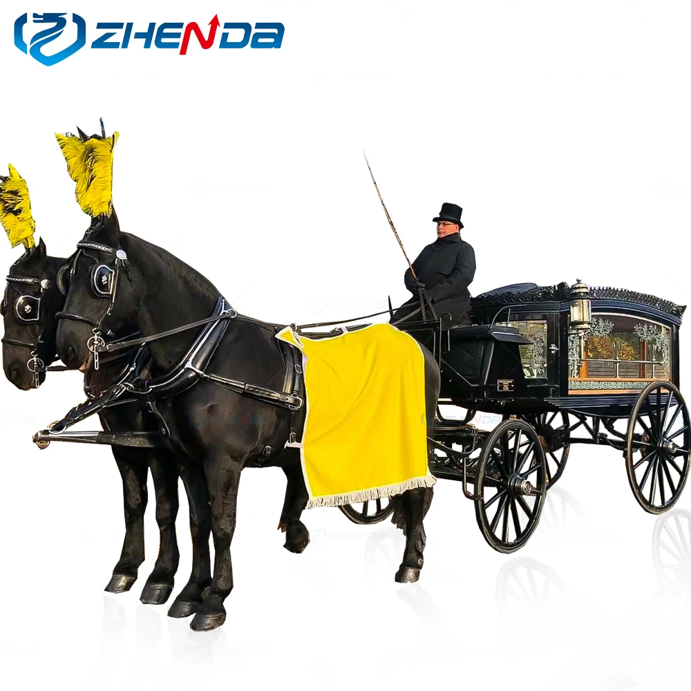 Antique Horse Drawn European Hearse For Sale Victorian Glass Covered ...