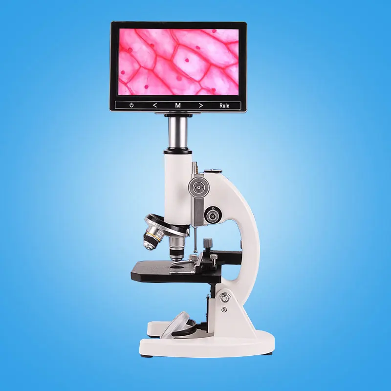 Primary And Secondary Light Microscope Can See Bacteria Examination ...