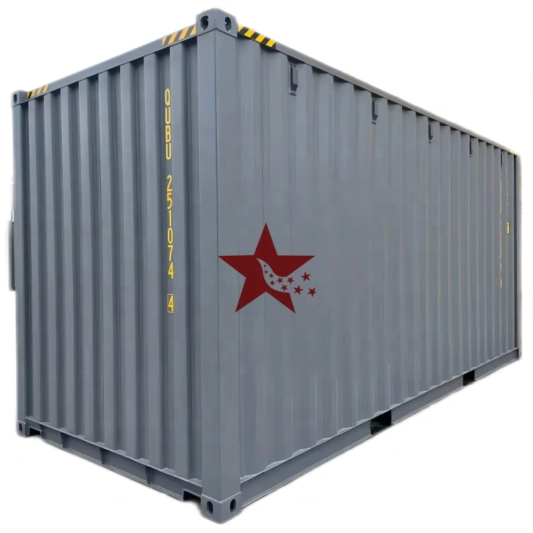 New 20 Feet Cargo Shipping Container For Sale High Quality Container ...