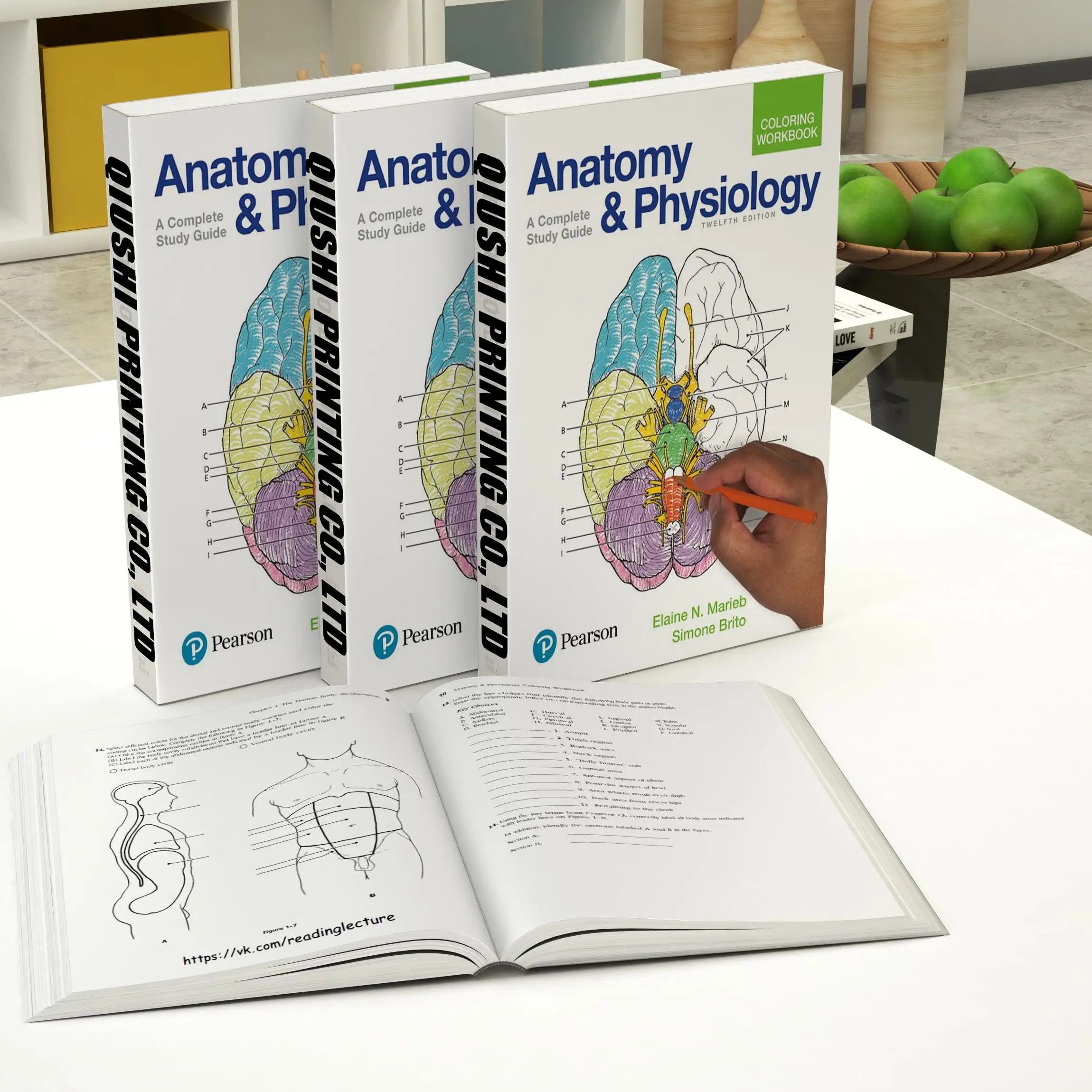 Anatomy and Physiology Coloring Workbook Medical Textbook Printing ...