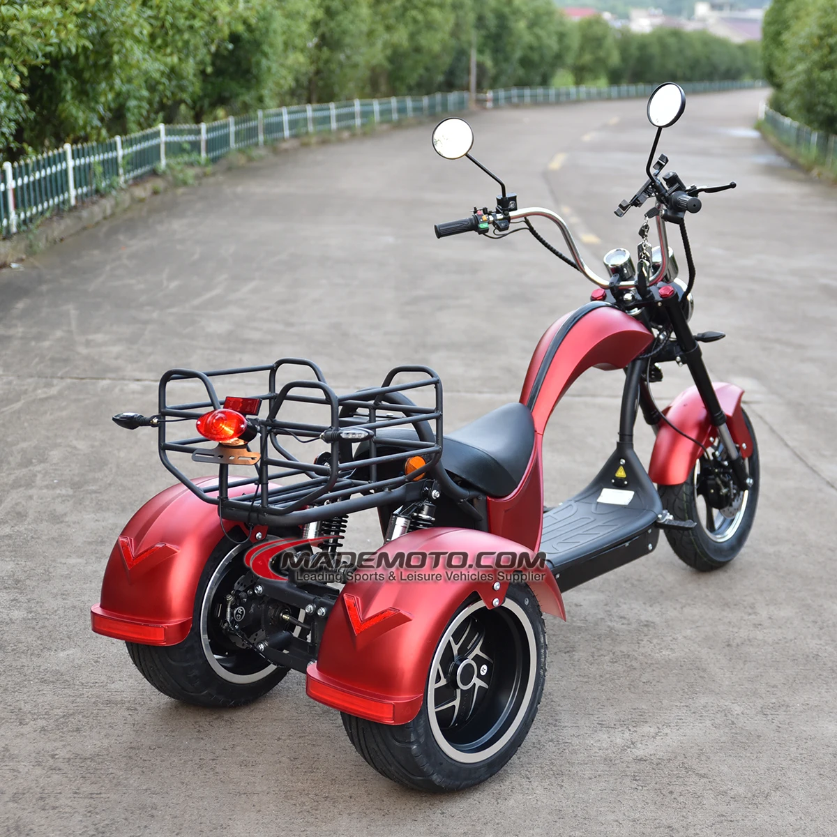 Three Wheeled Motorcycles Electric Tricycles 1000w Adult Electric ...