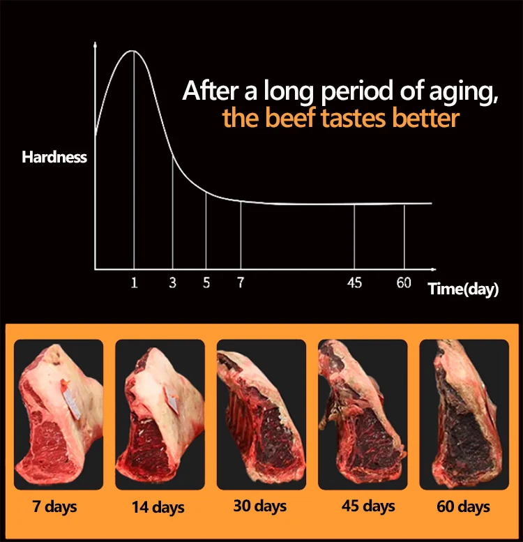 Upright Stainless Steel Dry Aging Cabinet for Beef & Pork