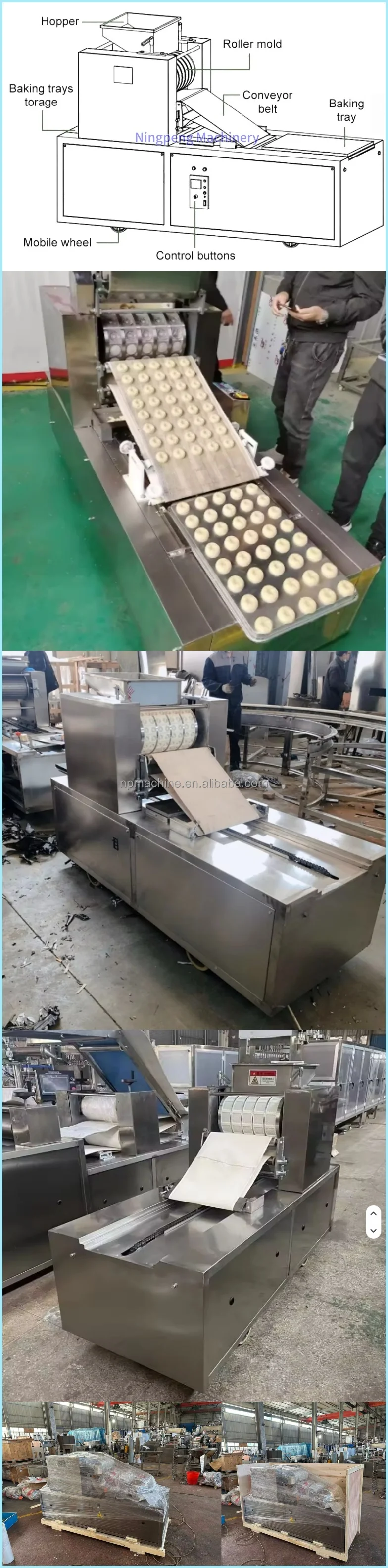 NP Brand Cookie Depositor and Wire Cut Machine Dog Biscuits Making ...