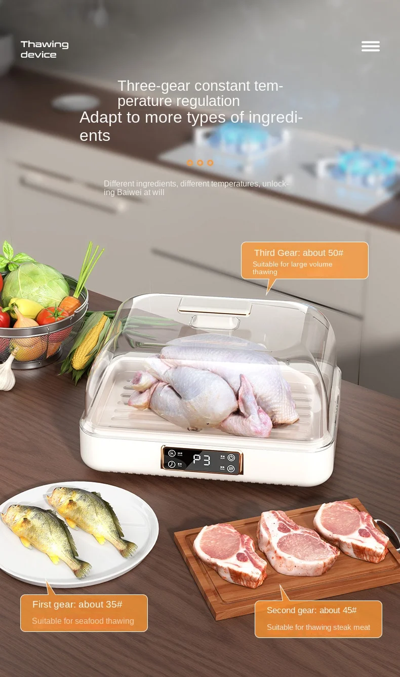 Kitchen Accessories Fast Defrosting Tray Rapid Frozen Food Meat Defrost ...