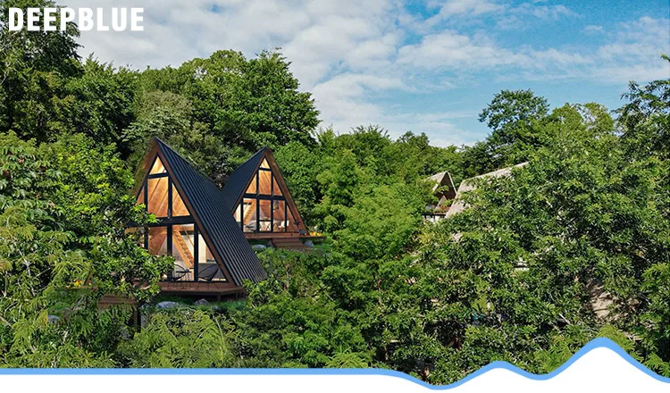 Deepblue Smarthouse High Quality Best Price Prefabricated Light Steel ...