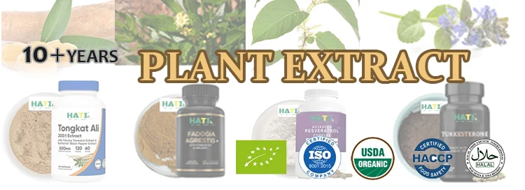 Low Price Sophora Japonica Extract Kaempferol Powder Cas 520-18-3 ...