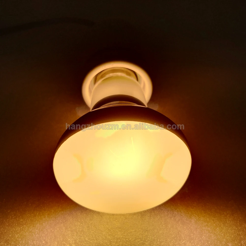 R63 UVA Heat Lamp Spotlight Bulbs for Reptile Basking