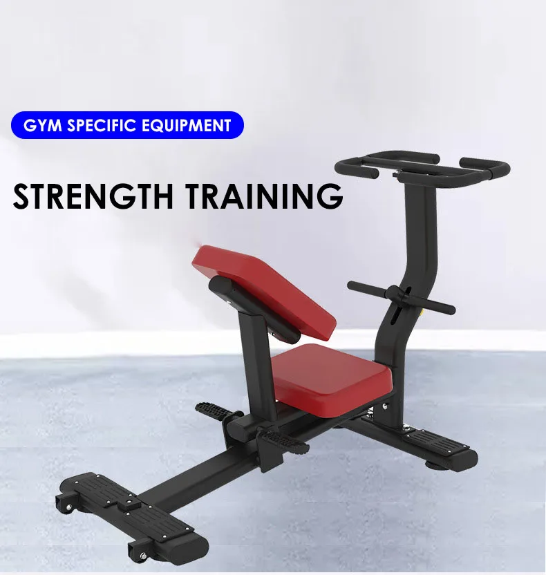 Strength Training Equipment - Comprehensive Gym Solutions
