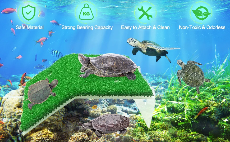 Turtle Resting Basking Platform Simulation Grass Turtle Ramp, Lawn ...