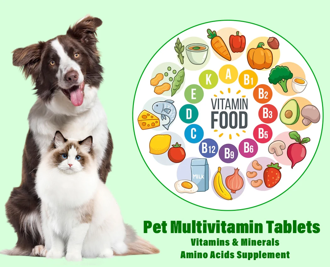 Oem Pet Multivitamin Tablets Dogs Nutrition Supplements Cat Dog Snack ...