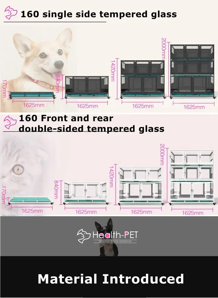 2023 China New Design Commercial Glass Stackable Pet Animal Dog ...
