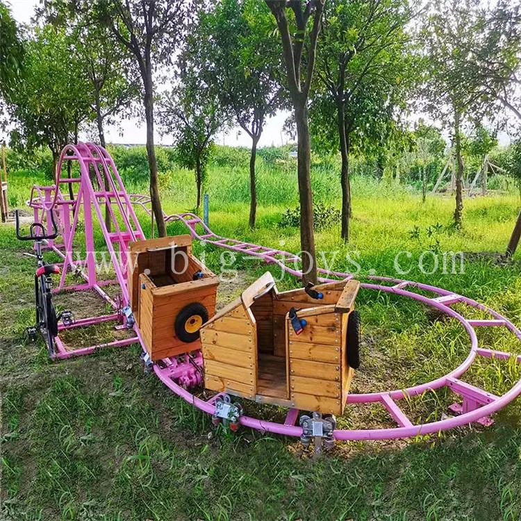 Human-Powered Roller Coaster Rides Outdoor Amusement Park Stimulating ...