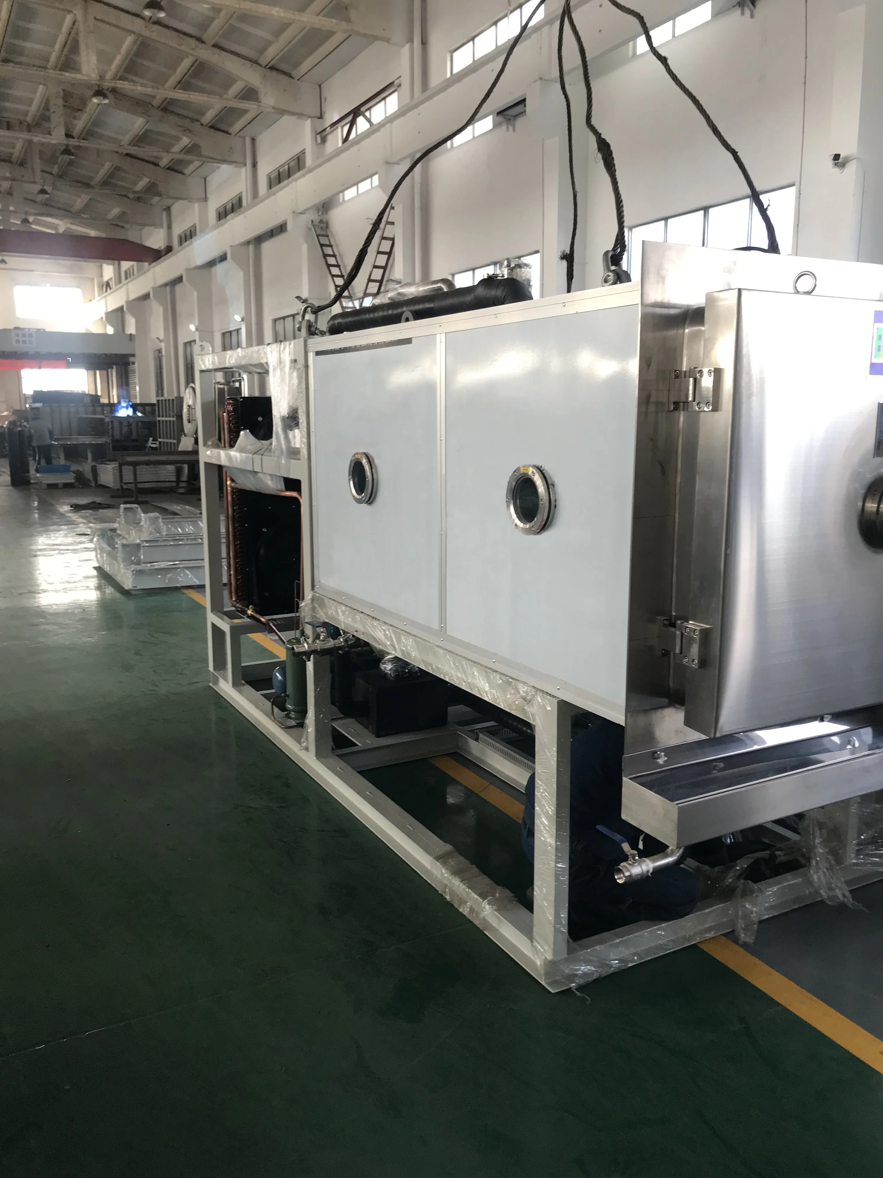 Vacuum Freeze Drier Vacuum Freeze Drier With Strawberry Freeze-drying ...