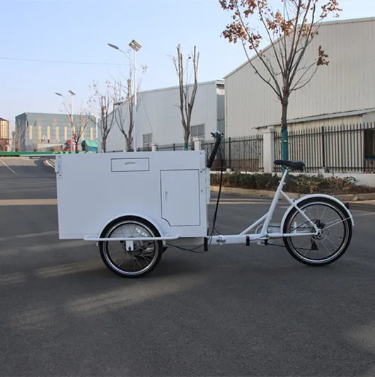 Lithium Battery Freezer Bike - Perfect for Ice Cream Trailers