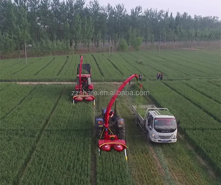 Mini Sweet Corn Silage Combine Harvester - High Productivity