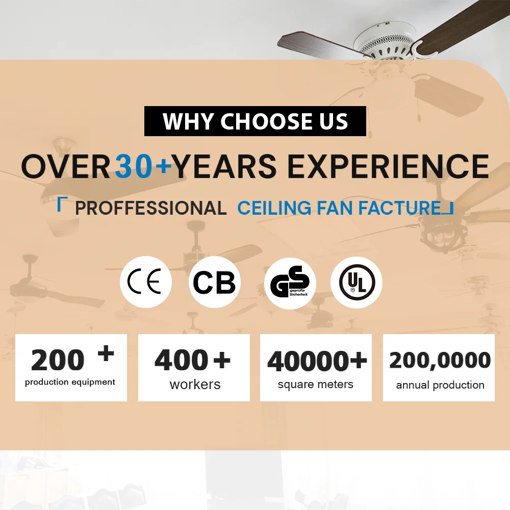 Luxury New Arrival Cealing Decorating Dc Ceiling Fan Light Bulb Modern ...
