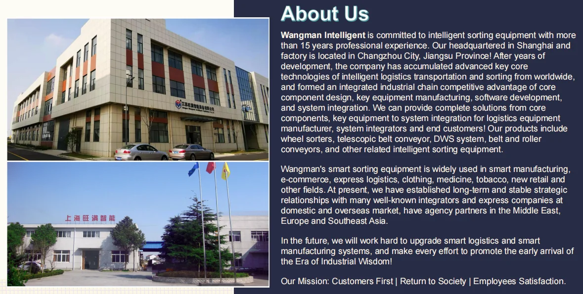 Wangman Automatic Parcel Singulation System - Efficient & Reliable