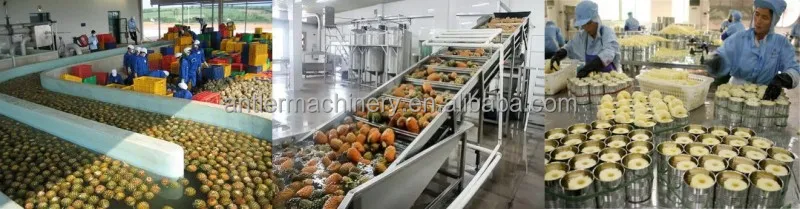 Small Scale Canned Pineapple in Syrup Production Line - Efficient ...
