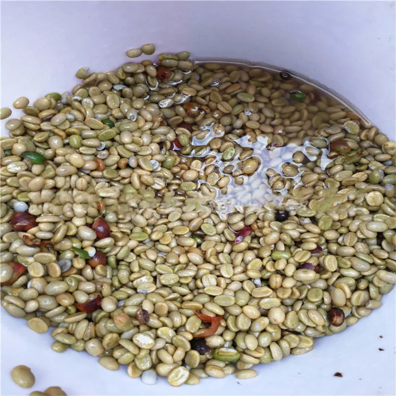 Fresh Coffee Beans Peel Threshing Machine Wooden Case Motor New Product ...