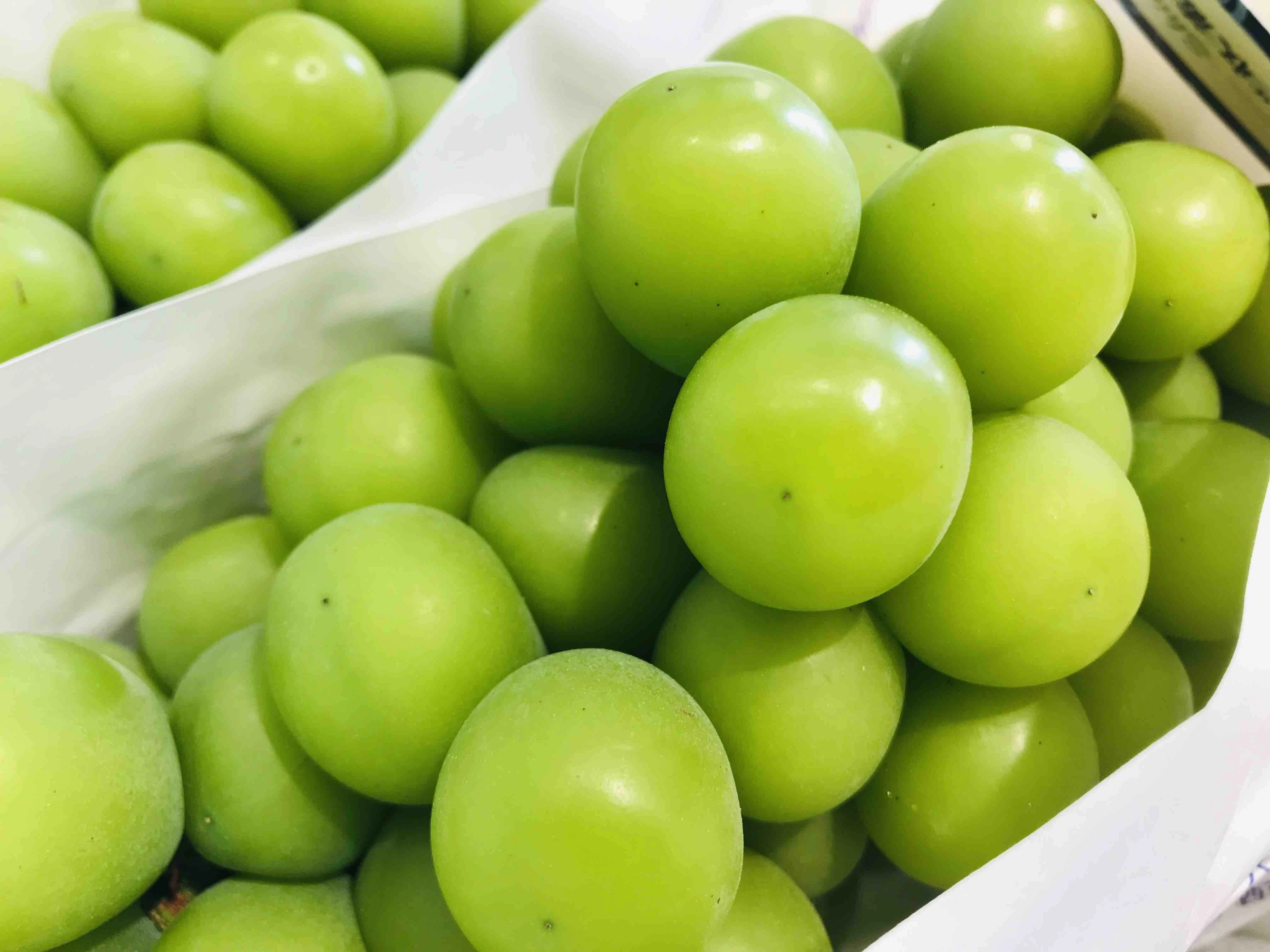 Delicious Sweet Green Fresh Grapes Bulk Organic - Buy Bulk Grapes ...