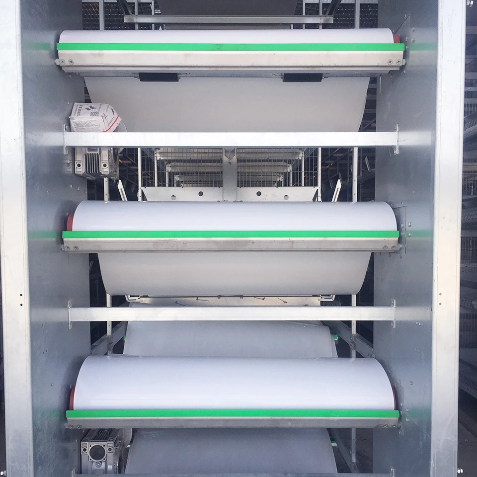 Automatic Poultry Chicken Breeding Cages - Efficient Manure Collection