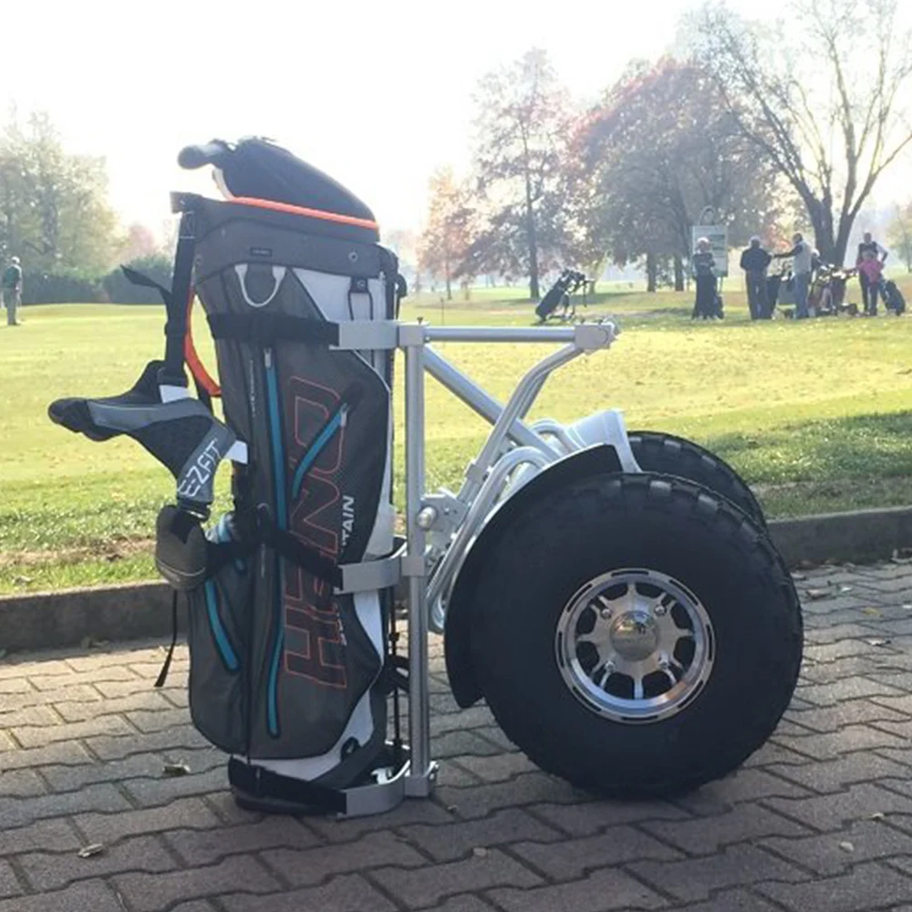 2 Wheels Electric Chariot Covered Personal Transporter Self Balance ...