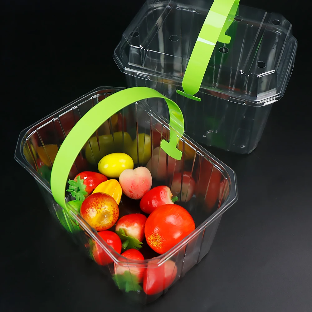 Custom Transparent Plastic Fruit Container with Handle , Clear Portable ...