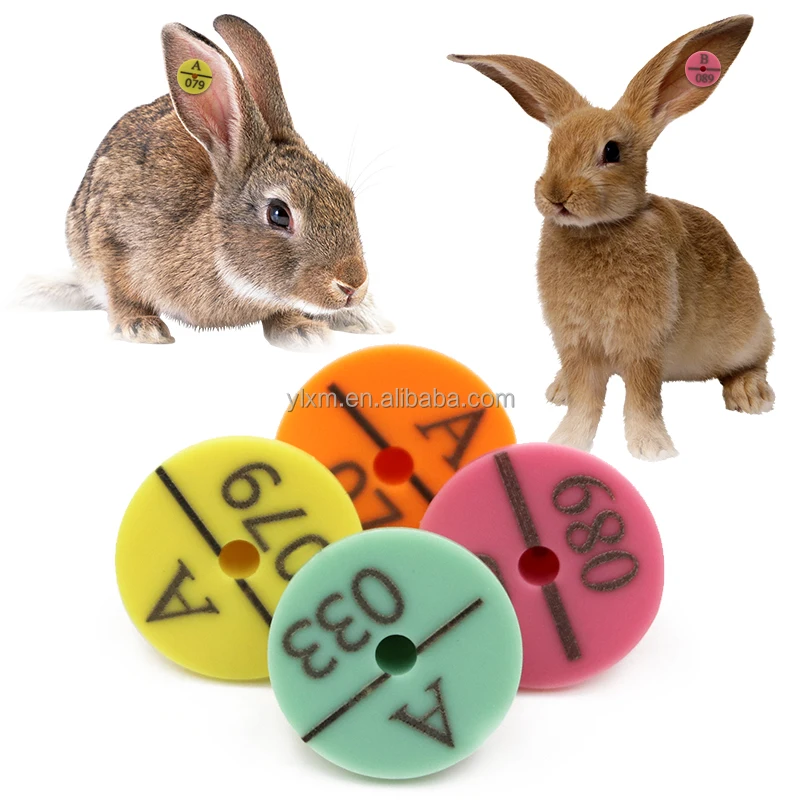 Laser Printing Rabbit Ear Label Card No. 1-100 Animal Identification ...