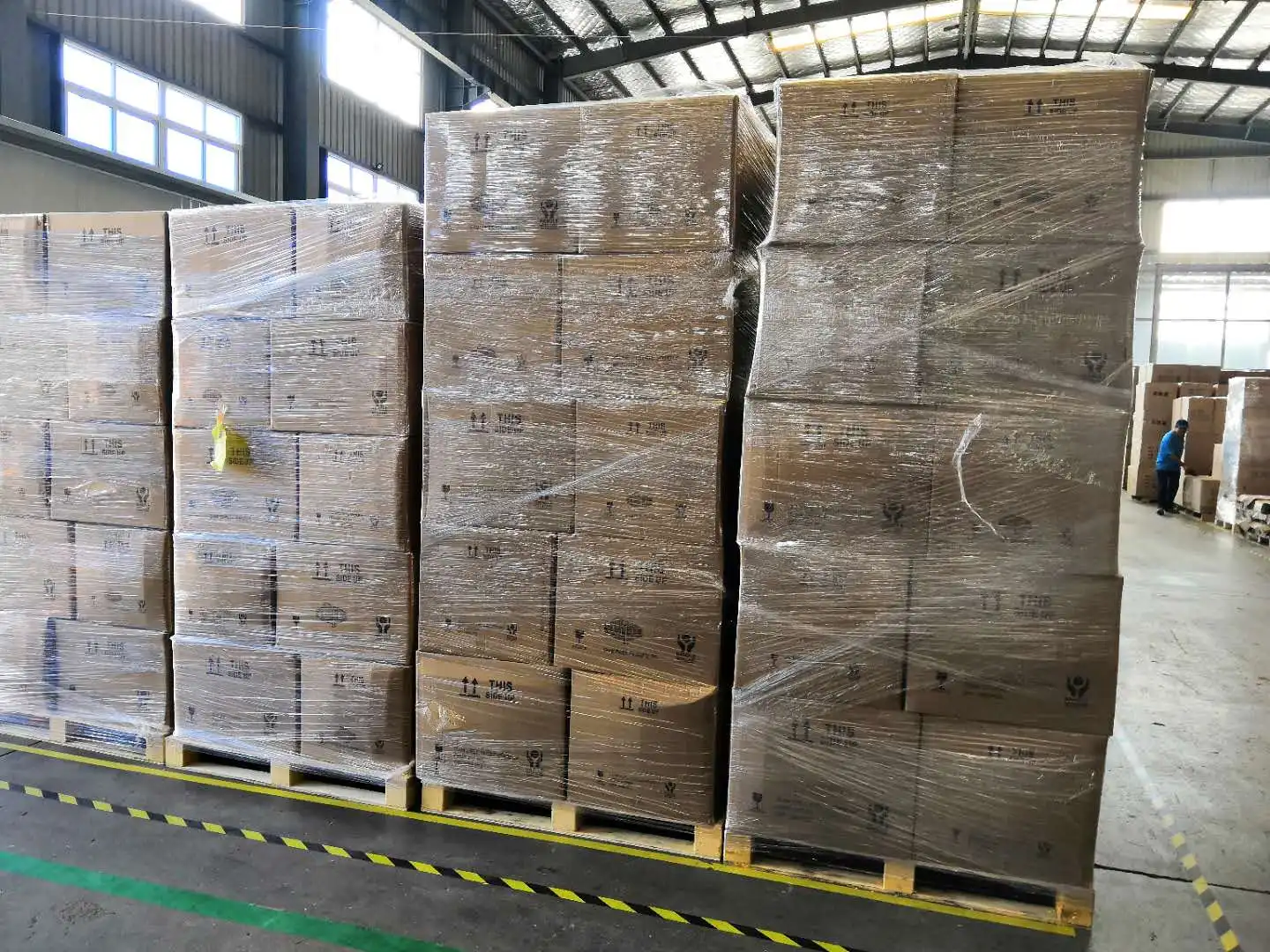 125 Gram Plastic Blueberry Clamshell Blueberry Packaging Punnet ...