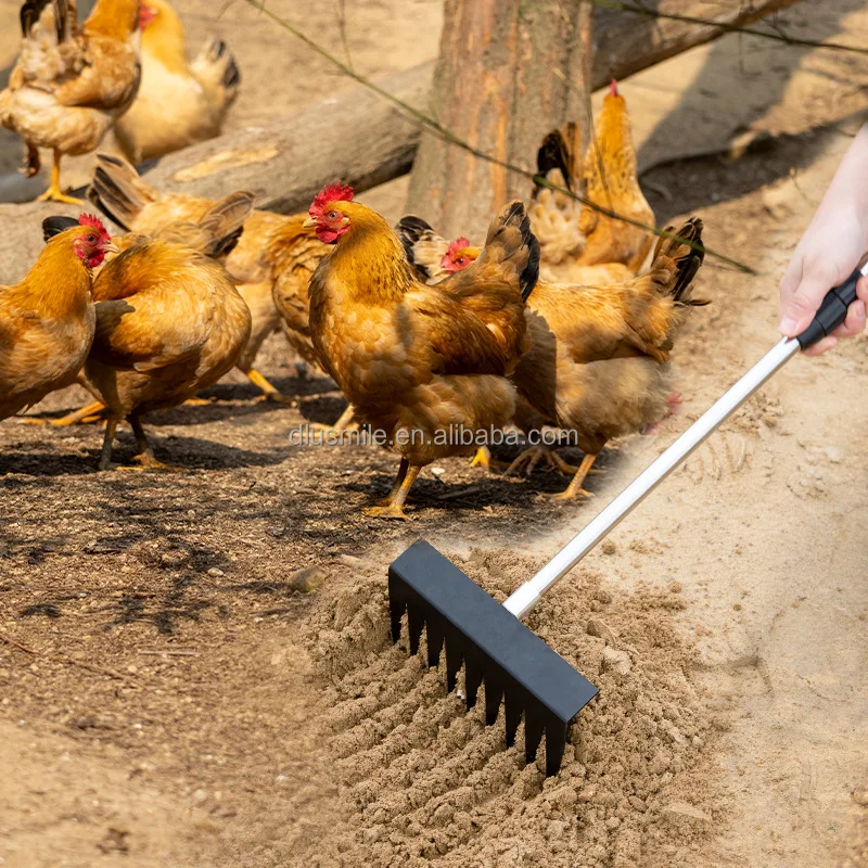 Stainless Steel Chicken Manure Shovel Extended Handle Adjustable Fowl ...