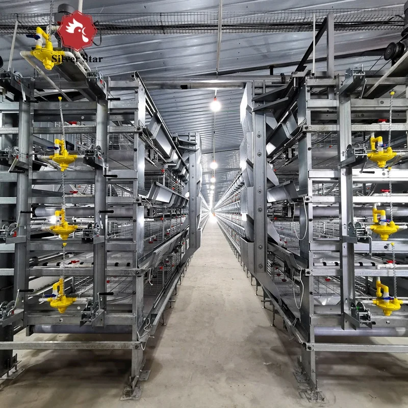 Broiler Poultry Farm House Design Folding Chicken Cage/multi-tier ...